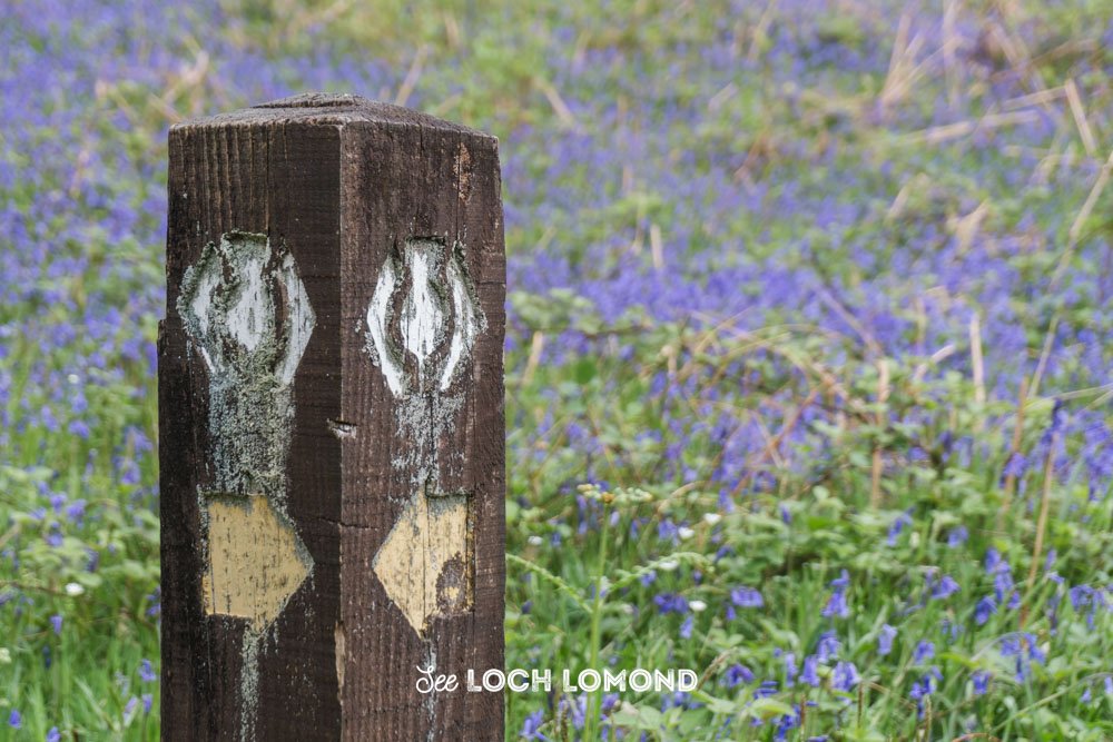 Arklet Falls and RSPB Trail at Inversnaid — See Loch Lomond :: What to ...