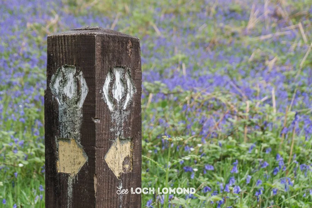 Arklet Falls and RSPB Trail at Inversnaid — See Loch Lomond :: What to ...