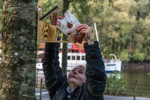 Red Squirrels in the National Park — See Loch Lomond :: What to do in ...