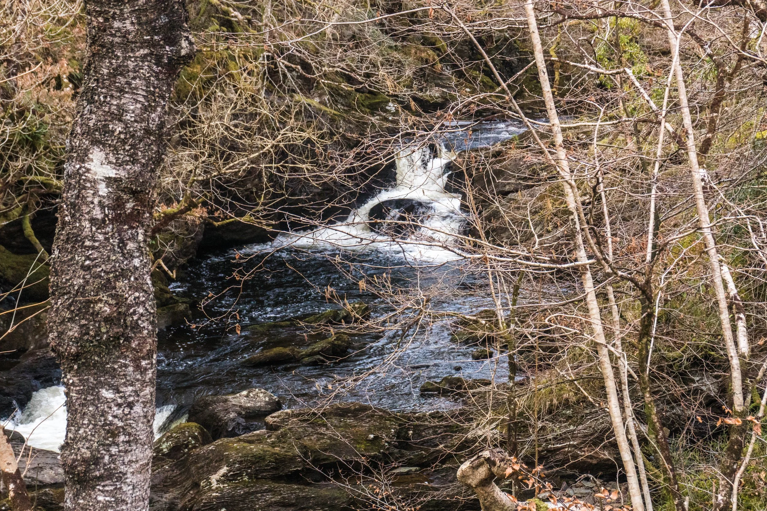 Lendrick Hill Walk, The Trossachs — See Loch Lomond :: What to do in ...