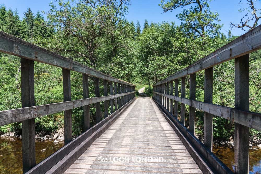 Lochan Spling Trail, The Trossachs — See Loch Lomond :: What to do in ...