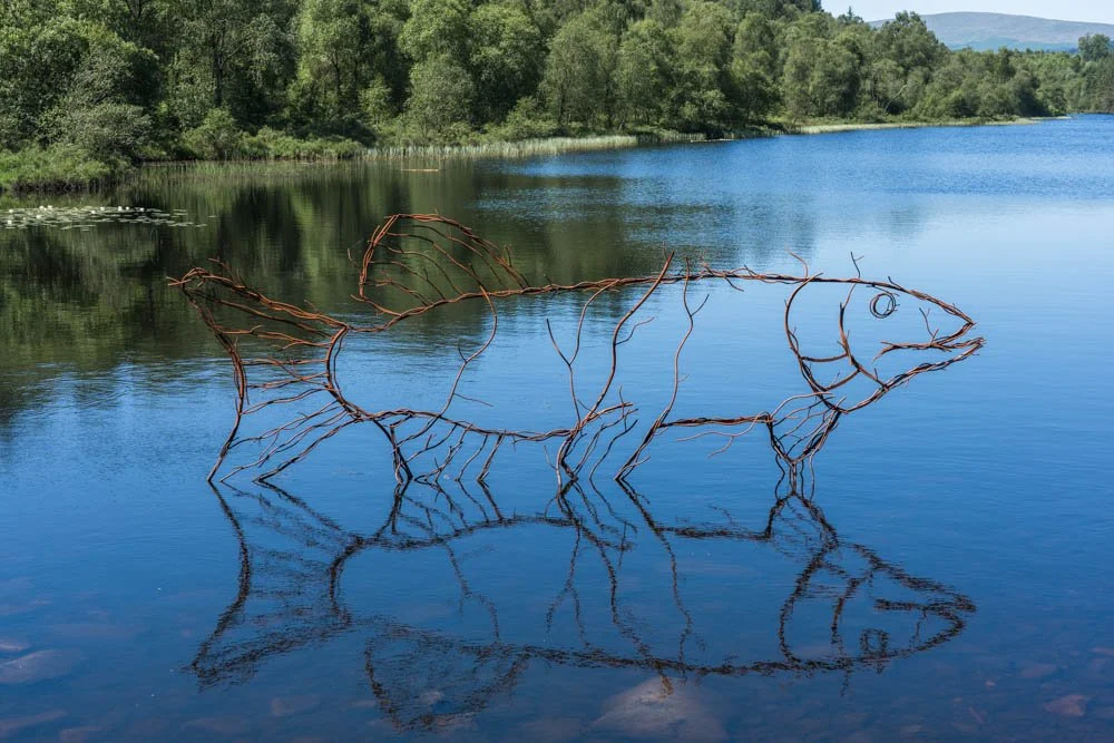 Lochan Spling Trail, The Trossachs — See Loch Lomond :: What to do in ...