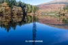 Lochan Spling Trail, The Trossachs — See Loch Lomond :: What to do in ...