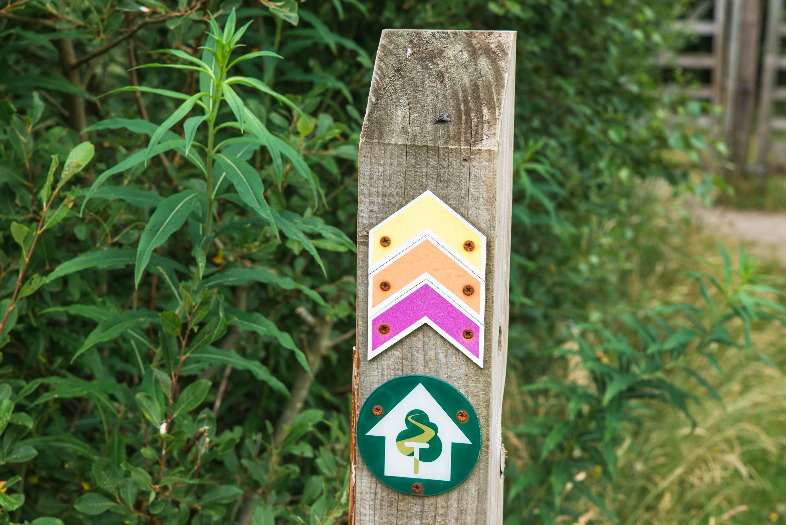 Lendrick Hill Walk, The Trossachs — See Loch Lomond :: What to do in ...