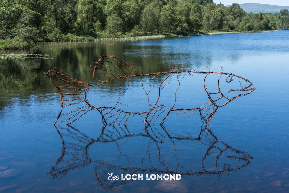 Visit Aberfoyle, Gateway to the Trossachs — See Loch Lomond :: What to ...