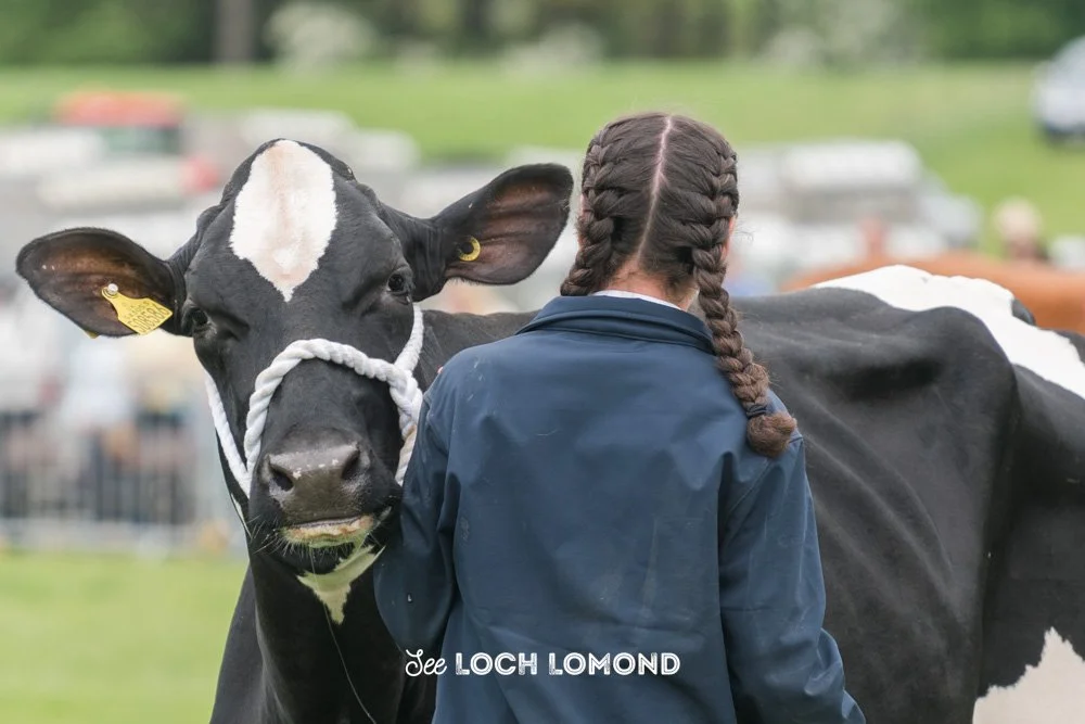 Visit Drymen East Loch Lomond — See Loch Lomond :: What to do in Loch ...