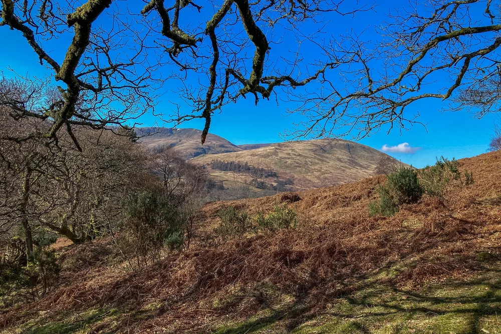 Climb Beinn Dubh, Luss — See Loch Lomond :: What to do in Loch Lomond ...