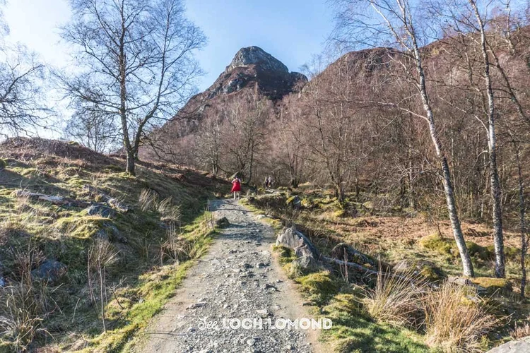 Climb Ben A'an in the Trossachs — See Loch Lomond :: What to do in Loch ...