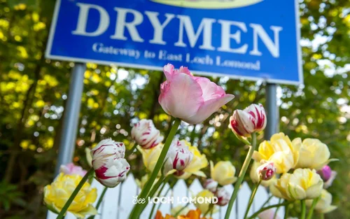 Visit Drymen East Loch Lomond — See Loch Lomond :: What to do in Loch ...