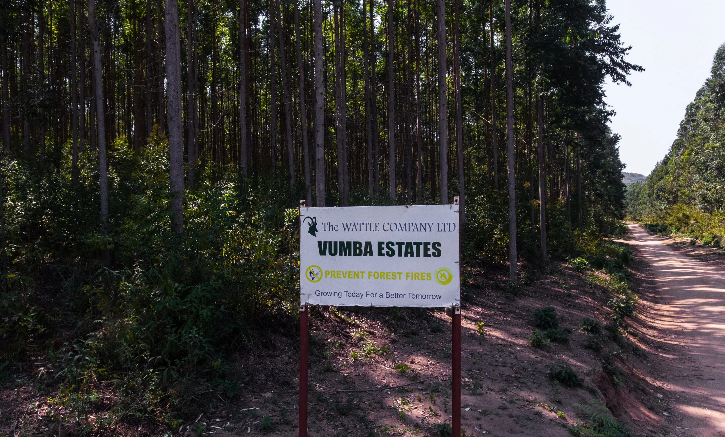 The Wattle Company