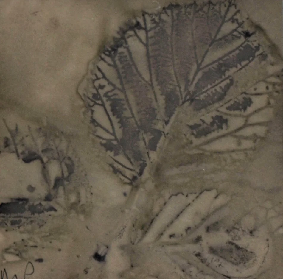 Botanical Printing — Cedar Farm Gallery