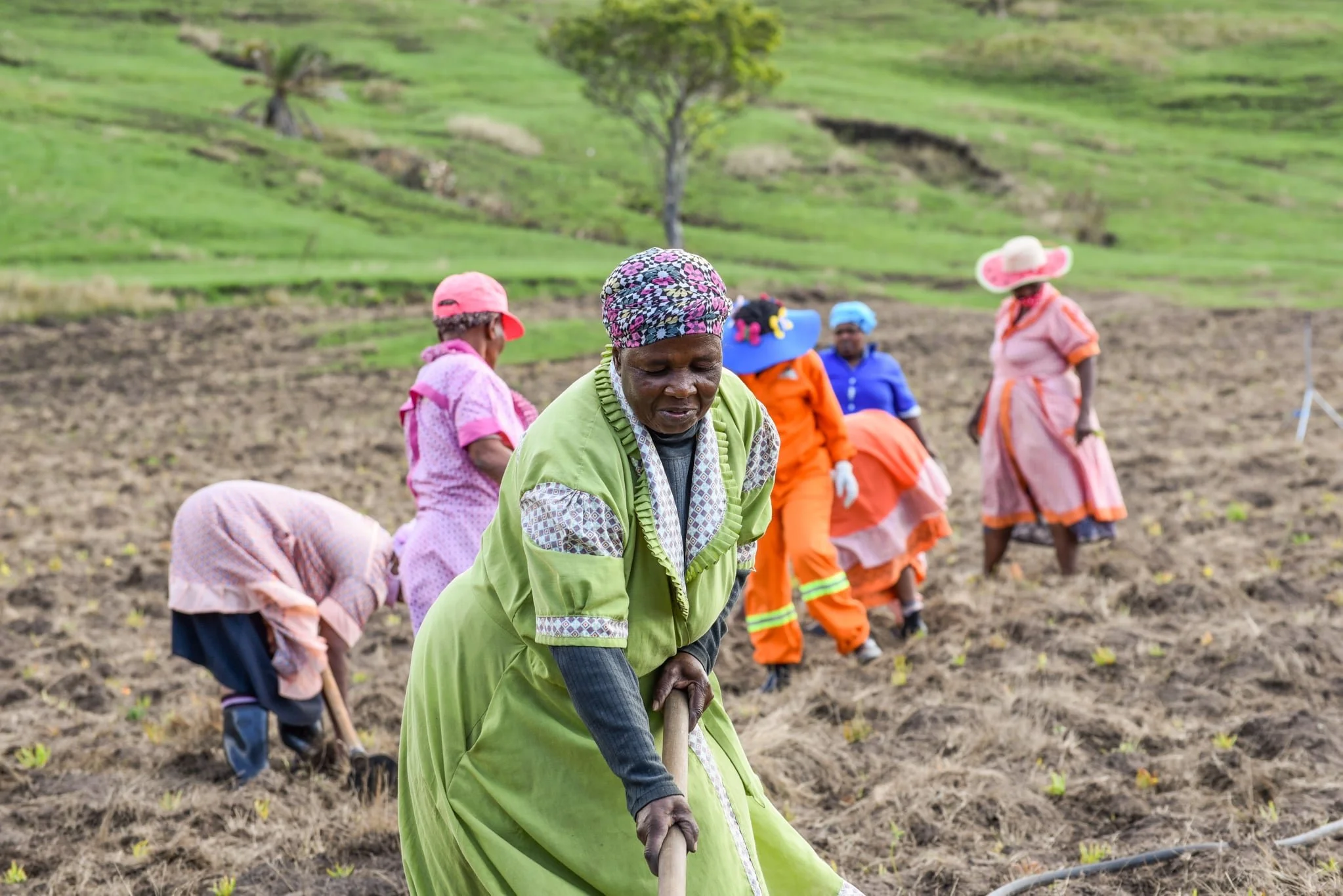 SAB Foundation - It Starts Here