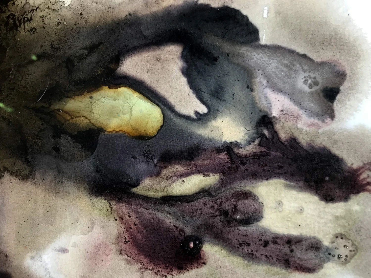 Natural inks — Anna Laurent