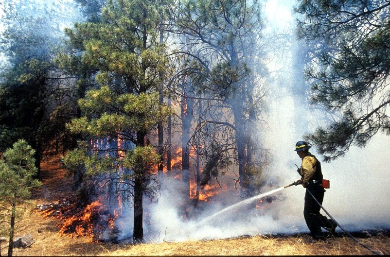 Wildfire Adapted Partnership