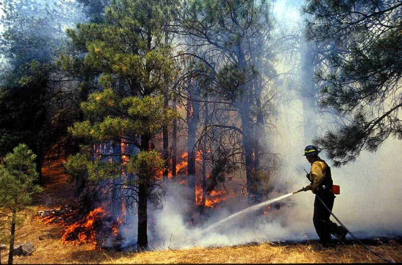 Wildfire Adapted Partnership