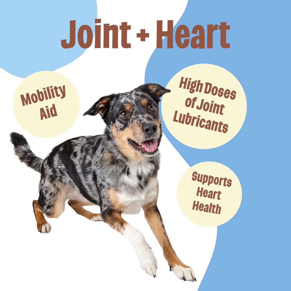Joint + Heart Support for Dogs — LICKS Pill-Free Solutions