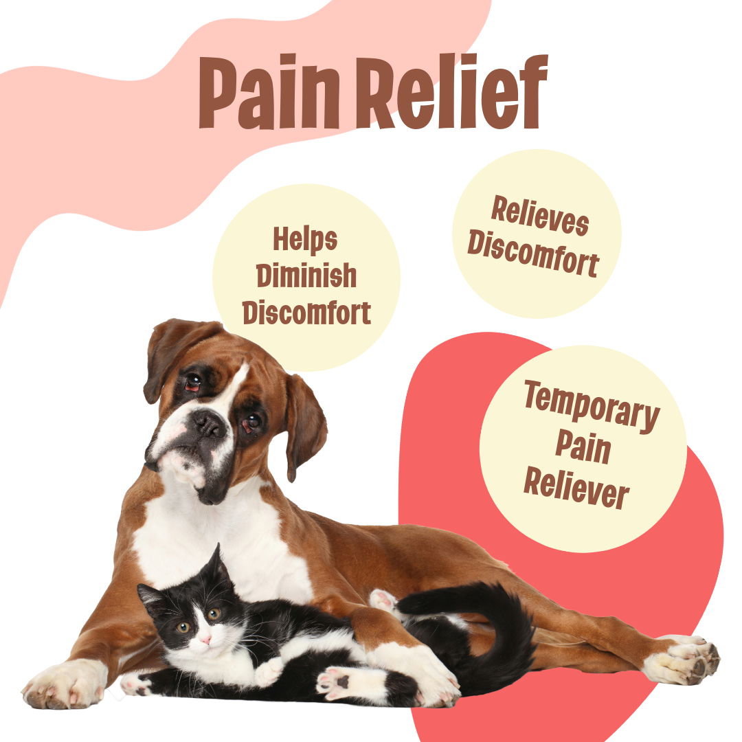 Pain Relief for Cats and Dogs — LICKS Pill-Free Solutions
