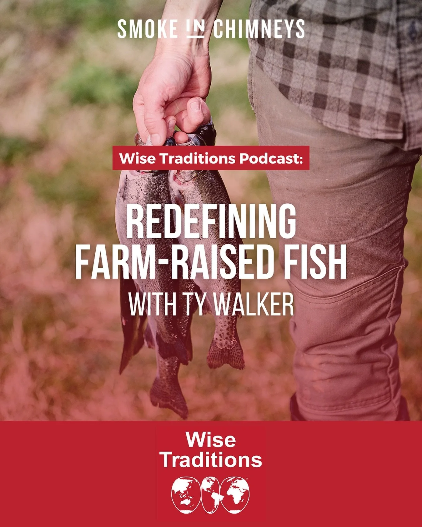 The Story — Smoke In Chimneys