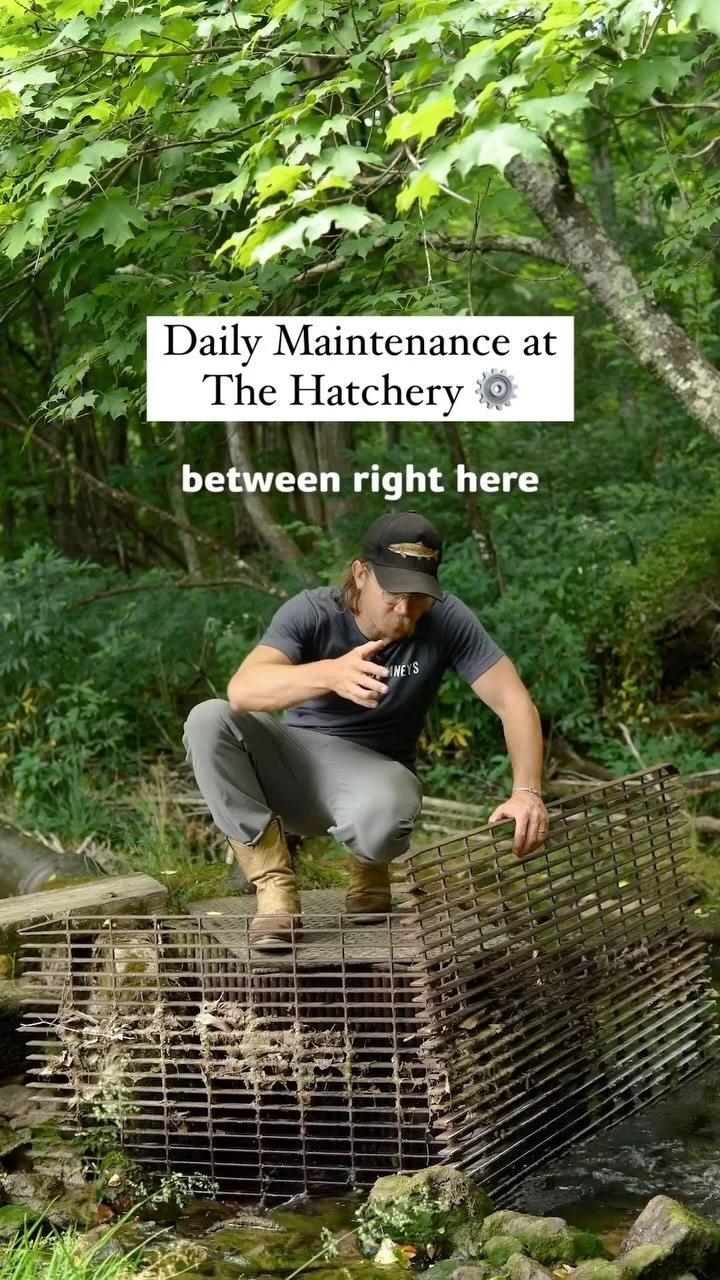 The Story — Smoke In Chimneys