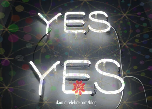 Trust your YES! — Damini Celebre