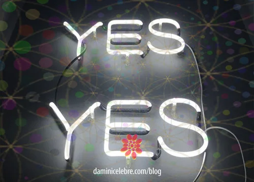 Trust your YES! — Damini Celebre