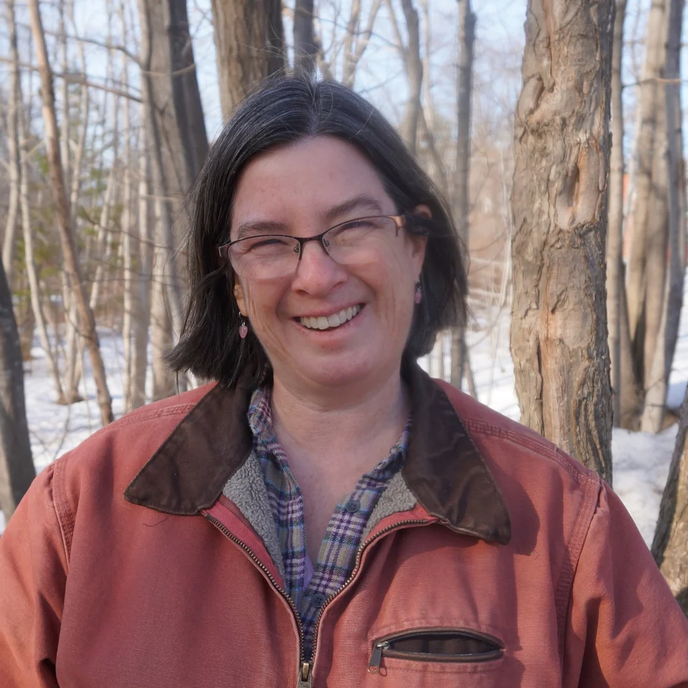 blog — Maureen Milliken, mystery write