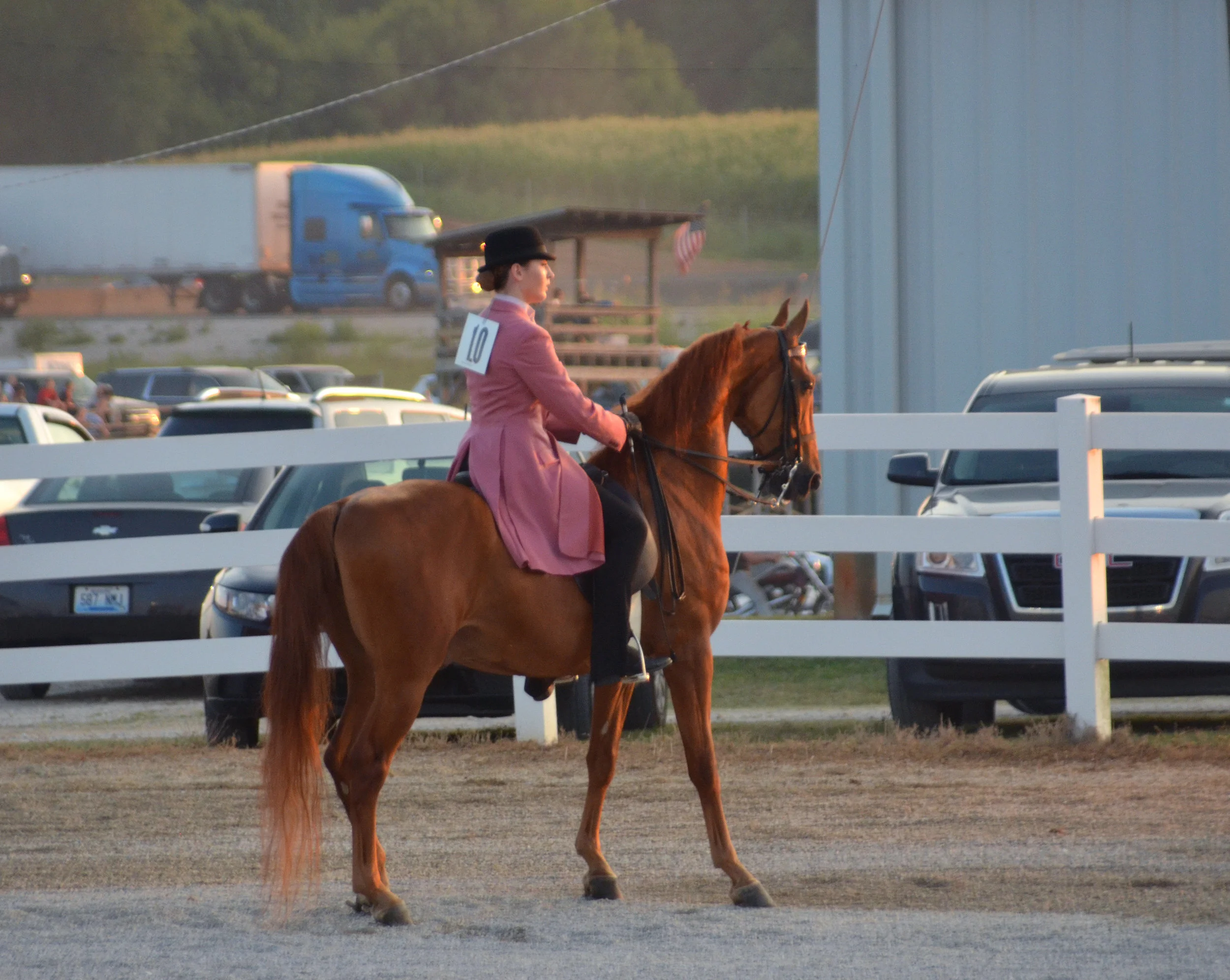 Horse Shows — Hardin County Community Fair & Horse Show