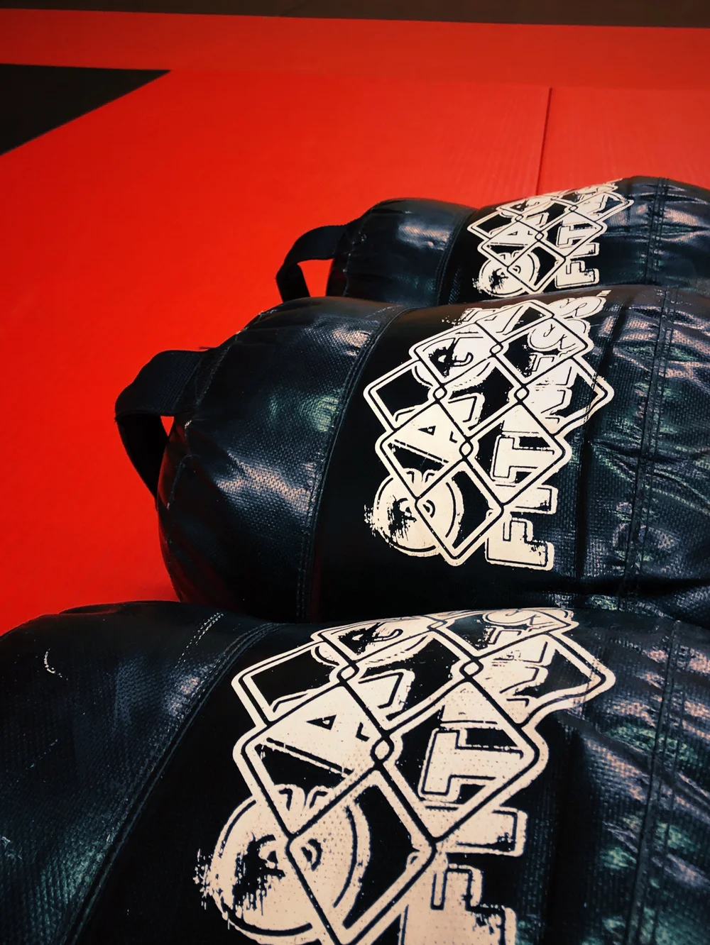 Trinity Martial Arts Academy