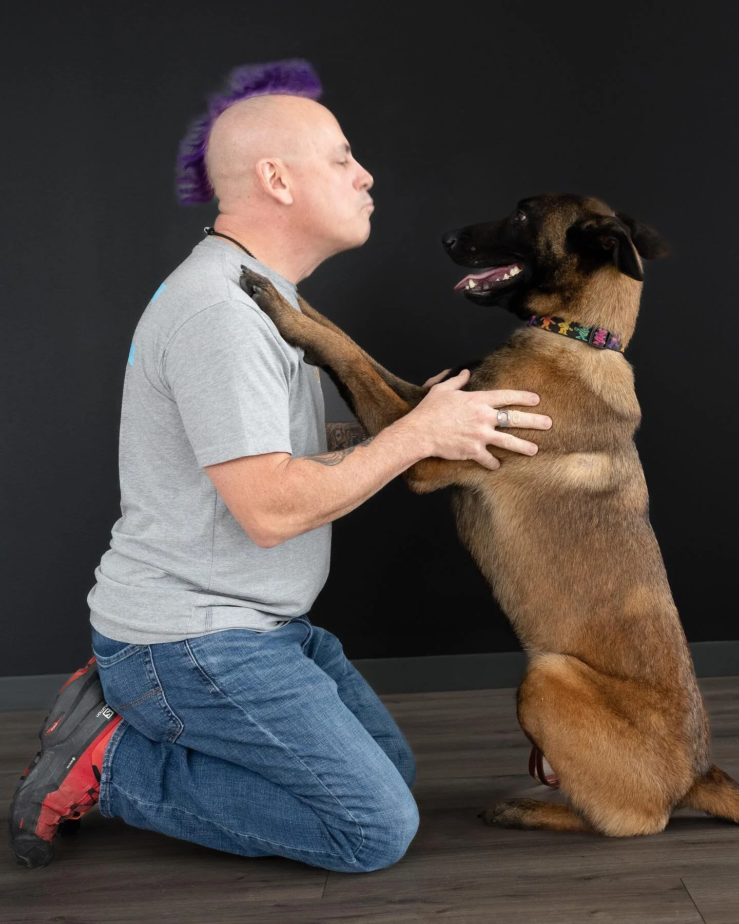 Playschool — Your Dog's Guru