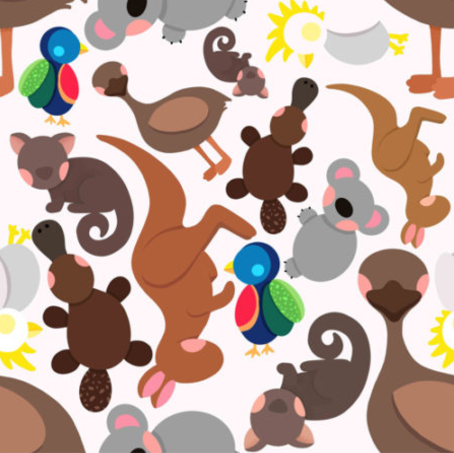 THE DUCK - AUSSIE ANIMALS - Sensory development and teething toy for ...