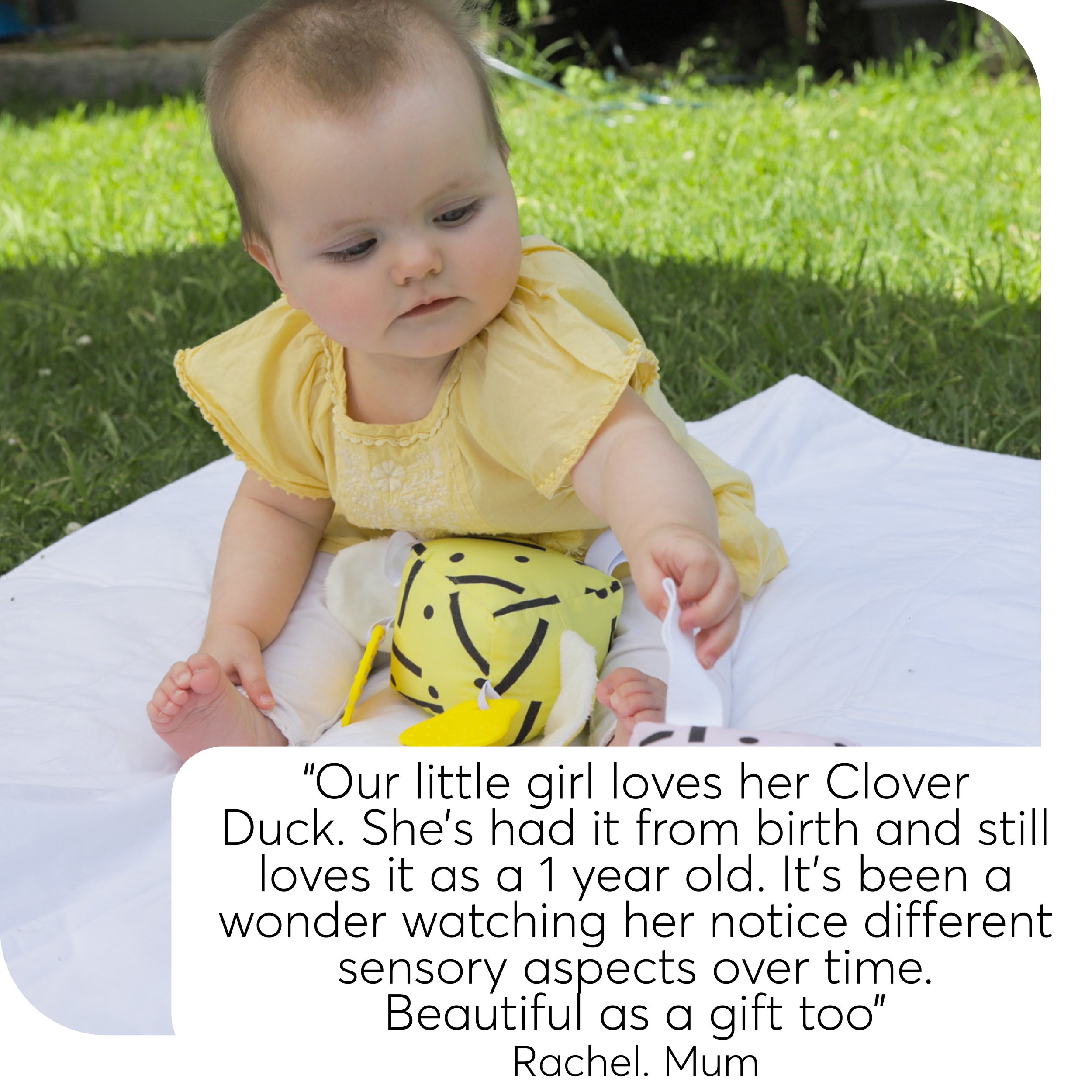 Clover Duck