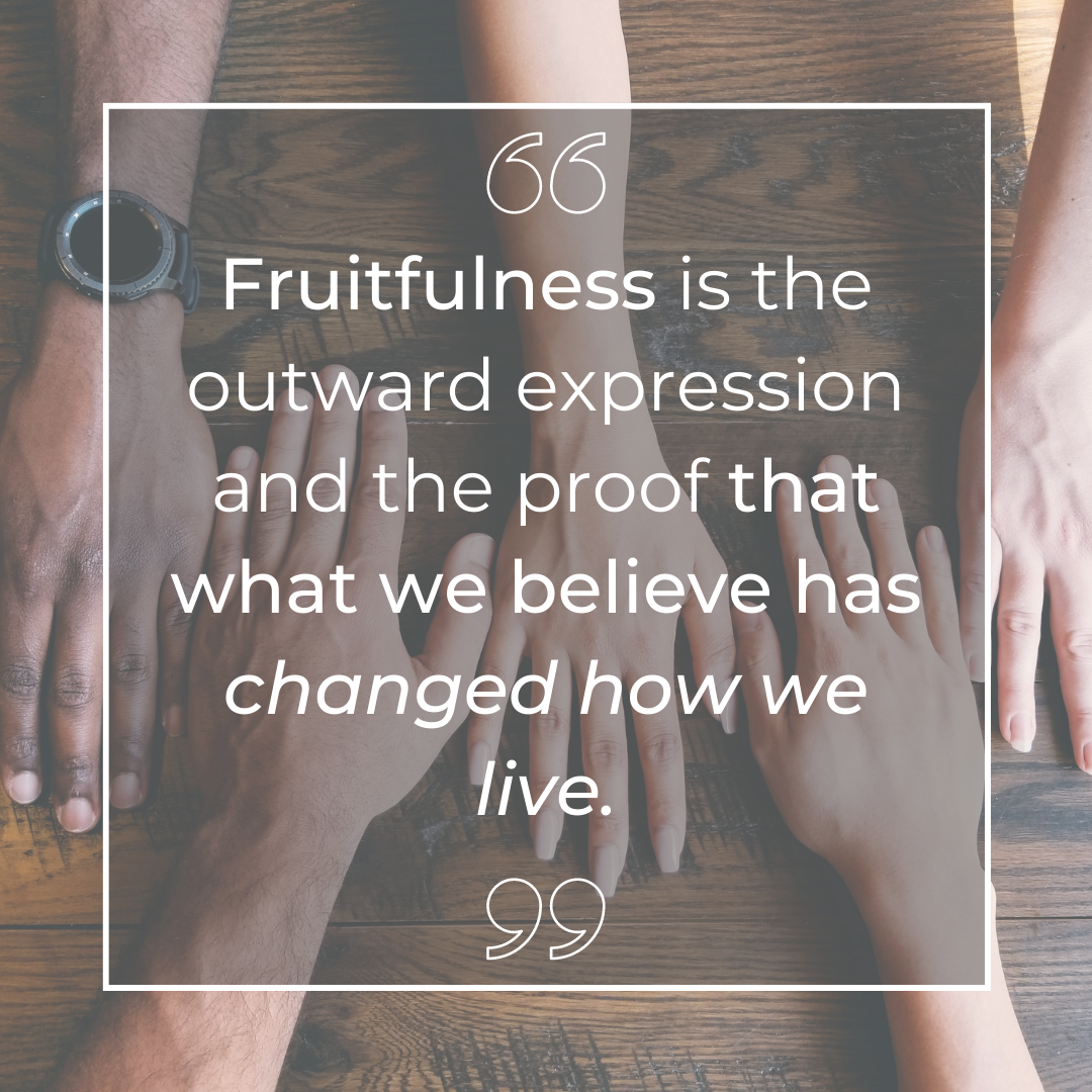 Unity Through Stewardship — Christian Stewardship Network