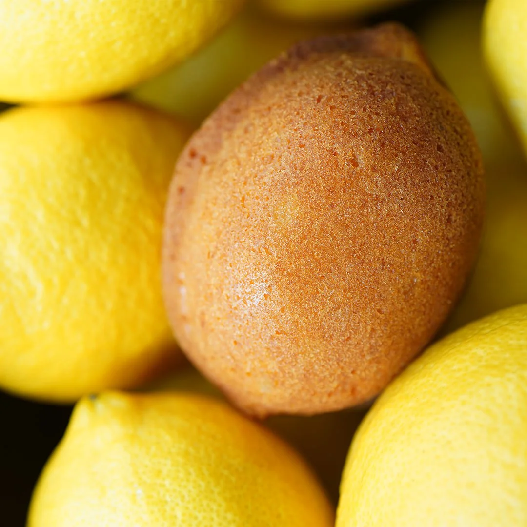 Hiroshima Lemon Cake & Cookie — you-ichi