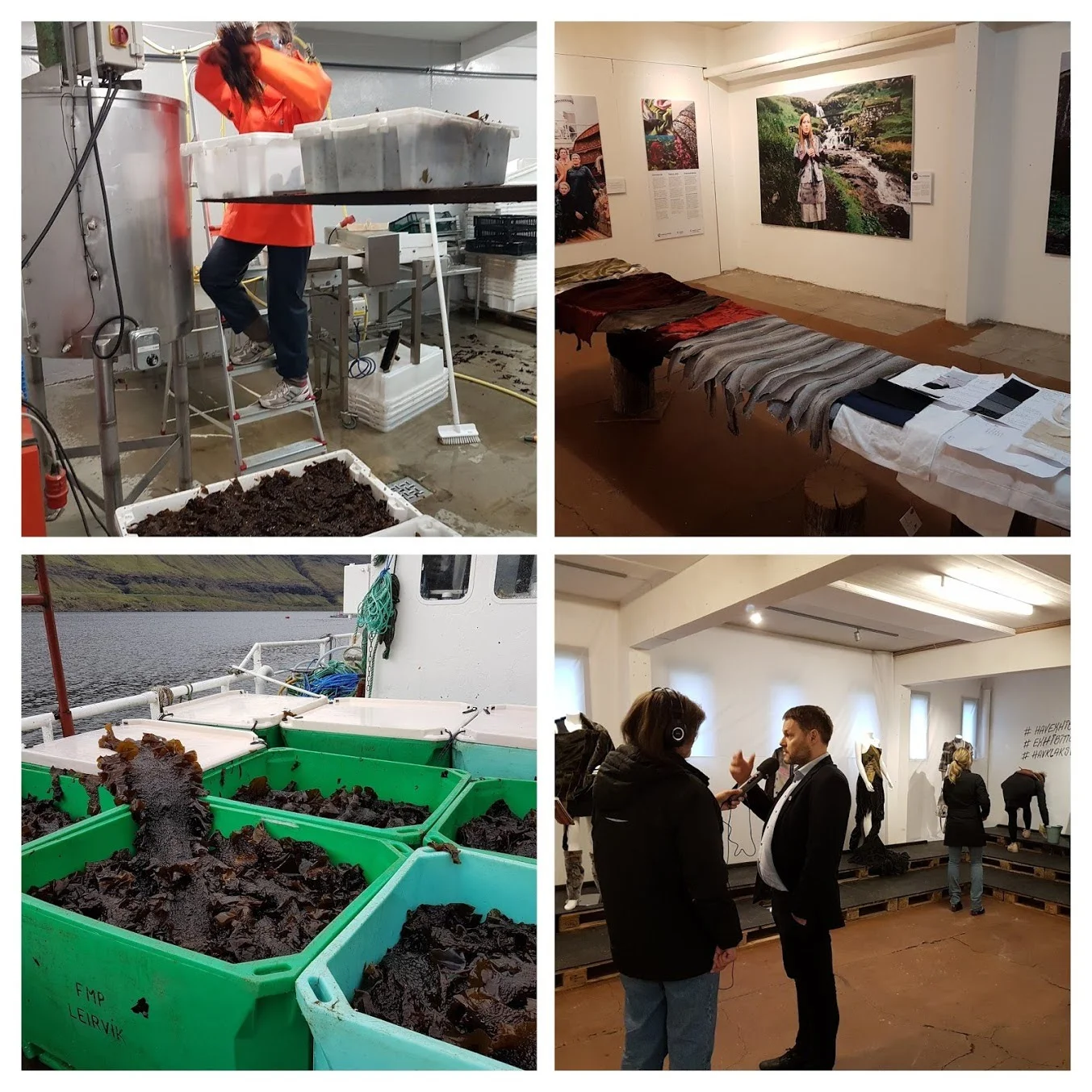 Pictures — Ocean Rainforest