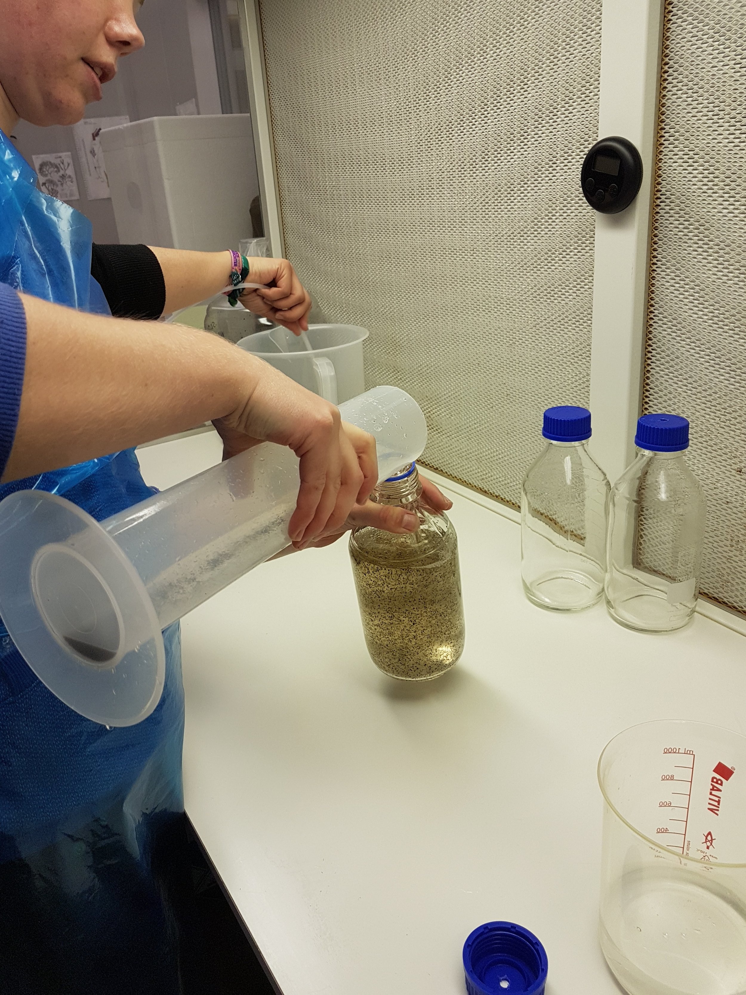 Pictures — Ocean Rainforest