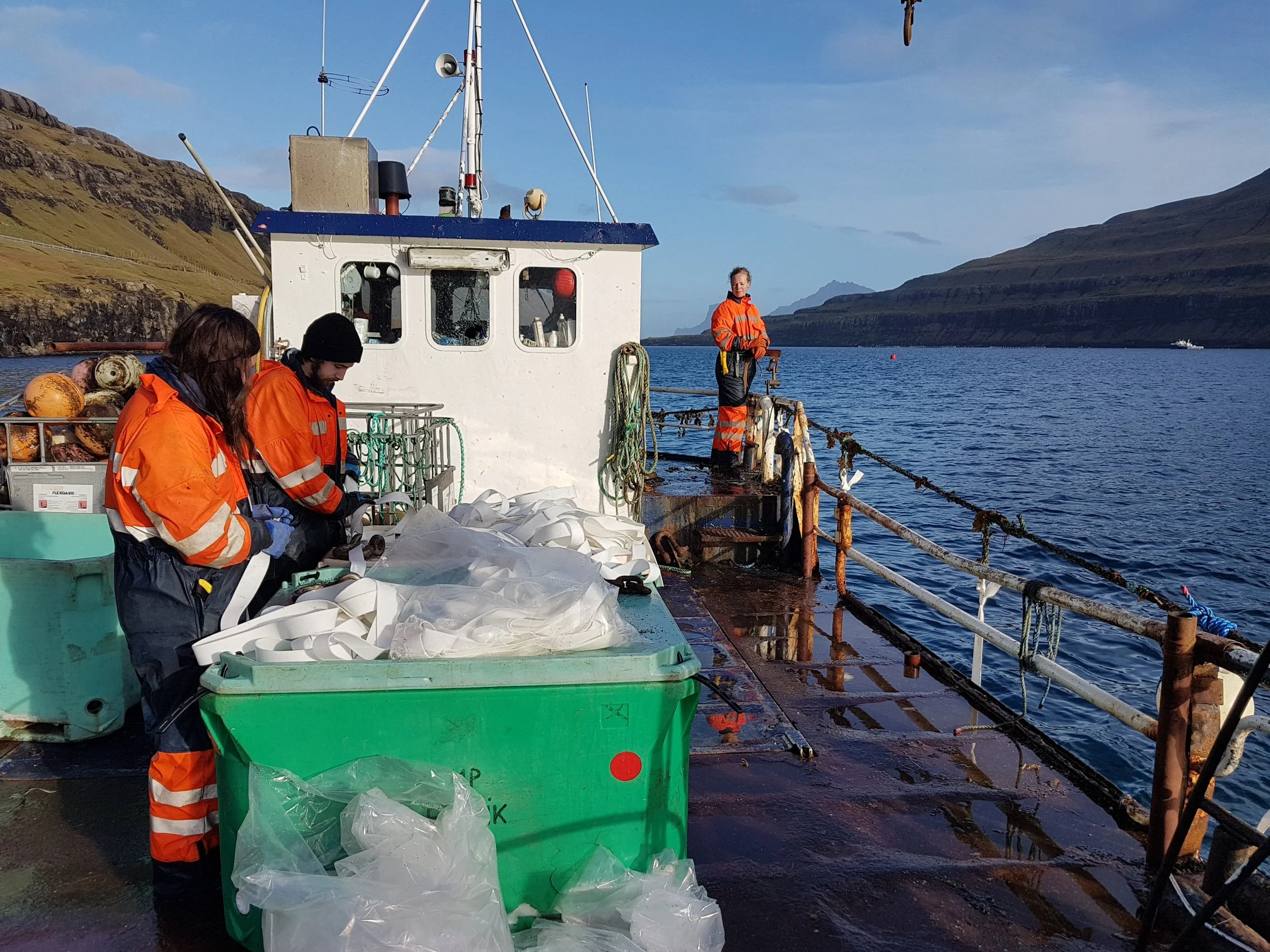 Pictures — Ocean Rainforest