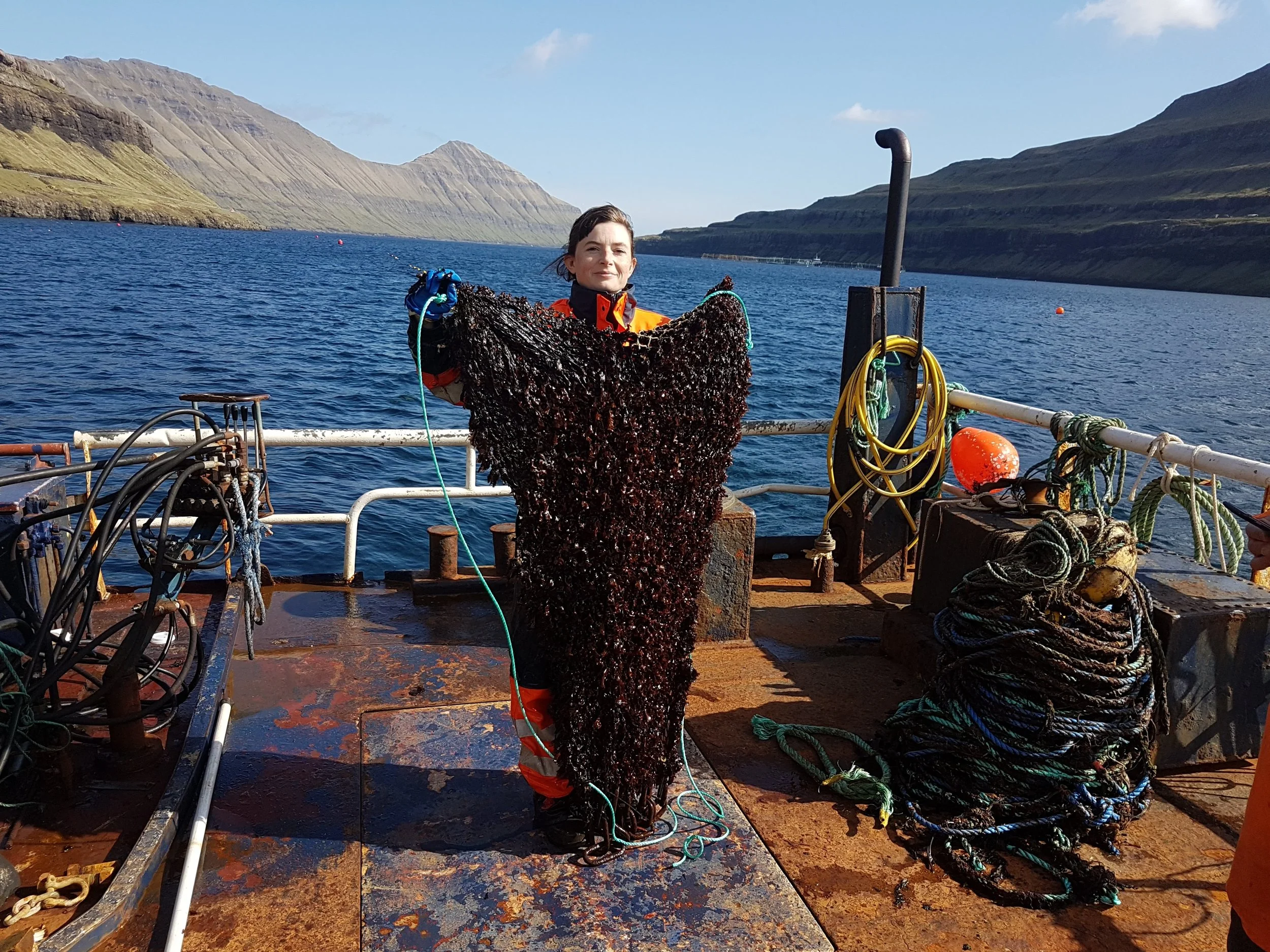 Pictures — Ocean Rainforest