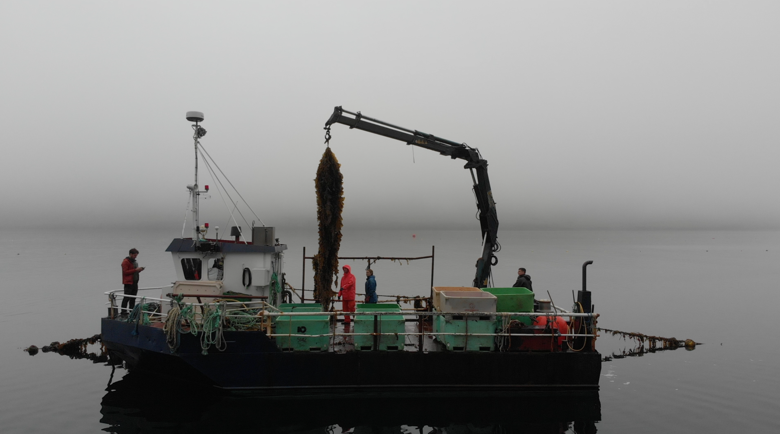 Pictures — Ocean Rainforest