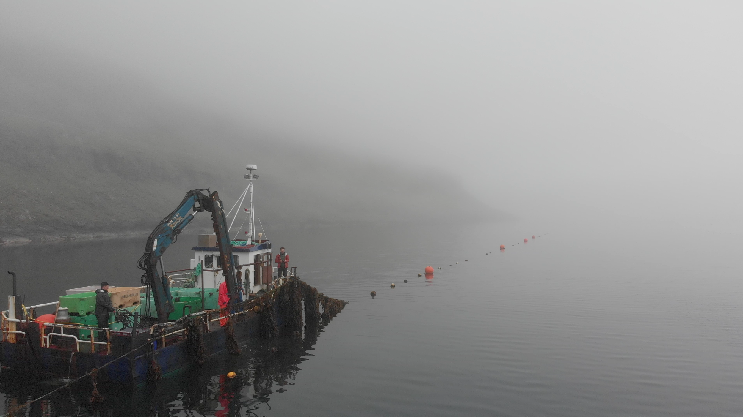 Pictures — Ocean Rainforest