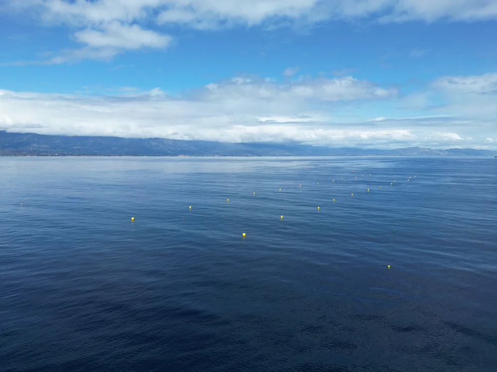 OCEAN RAINFOREST SECURED TECHNOLOGY TO MARKET PLUS UP AWARD — Ocean ...