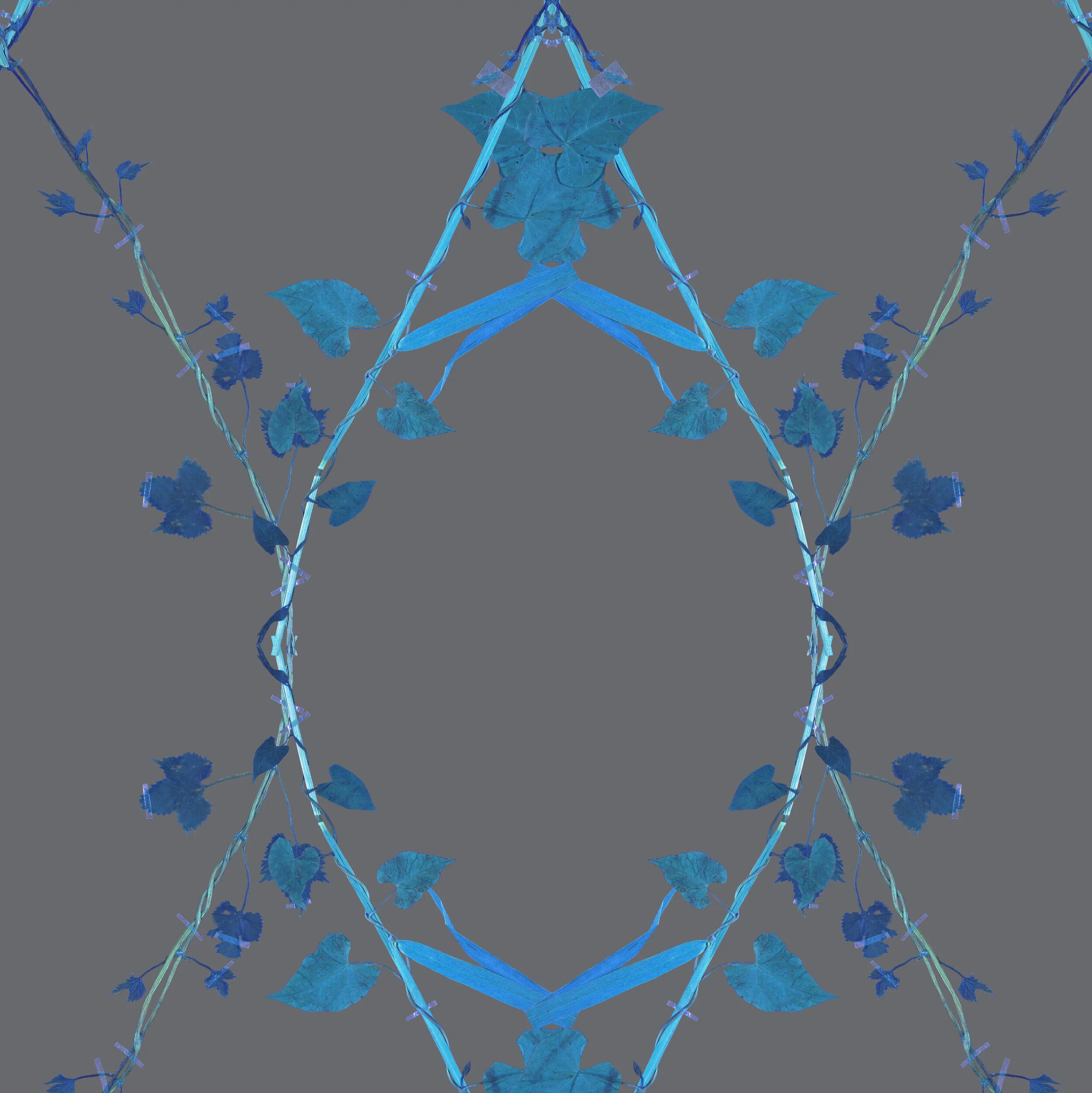 Morning Glory Wallpaper — Studio DeSimoneWayland