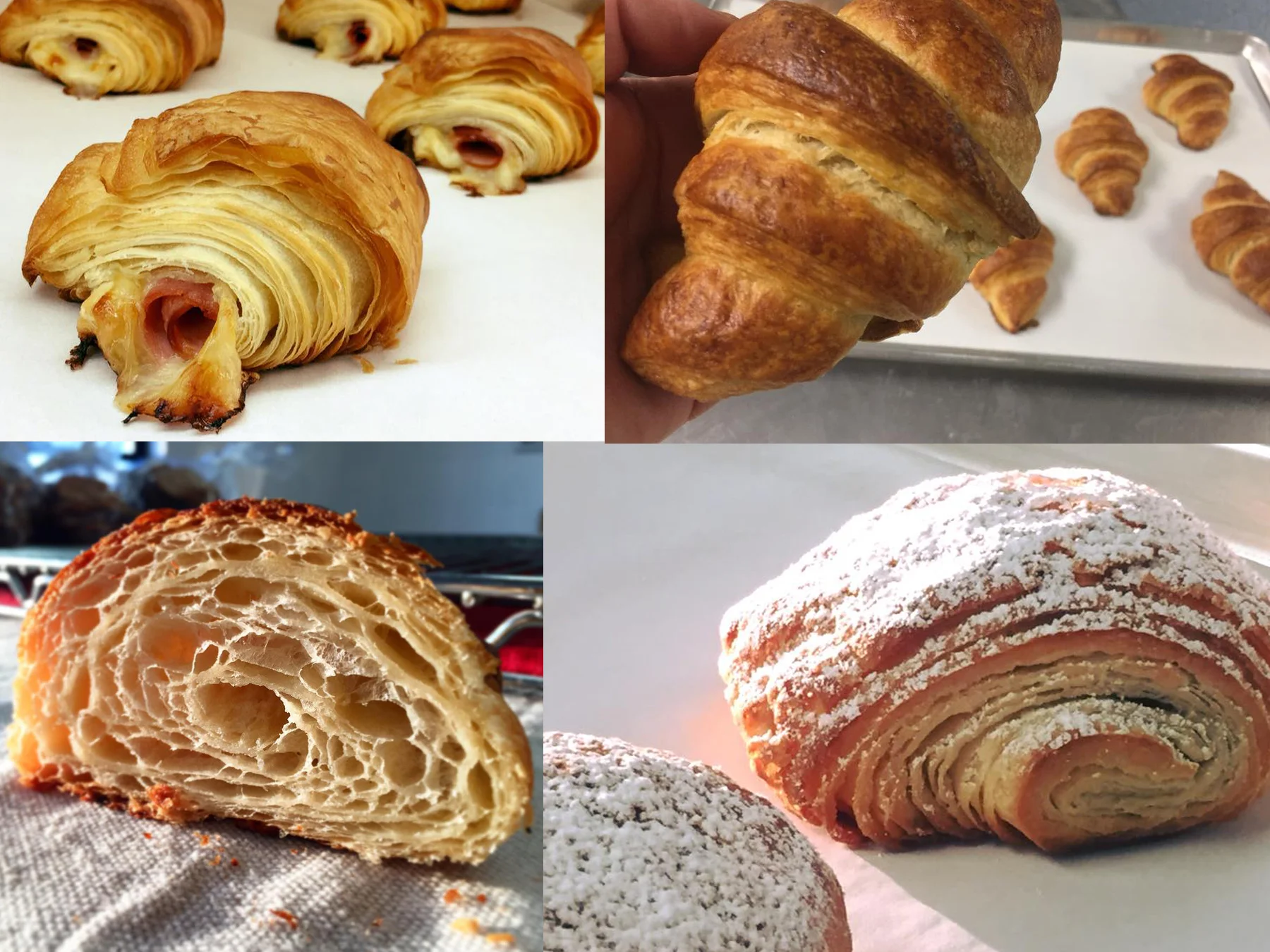 Mr. Meowski's sourdough bread