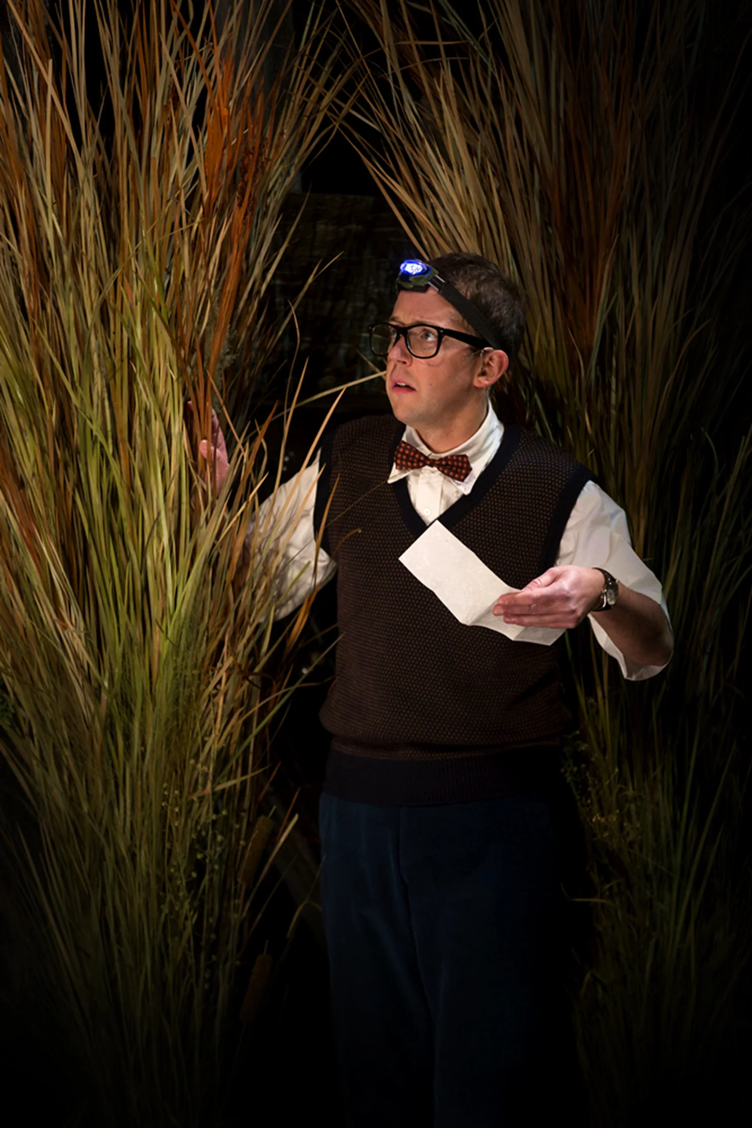 A Wind In The Willows Christmas — Philip Witcomb Design