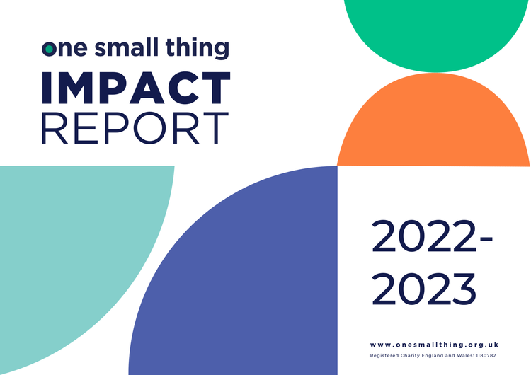 About Us — One Small Thing