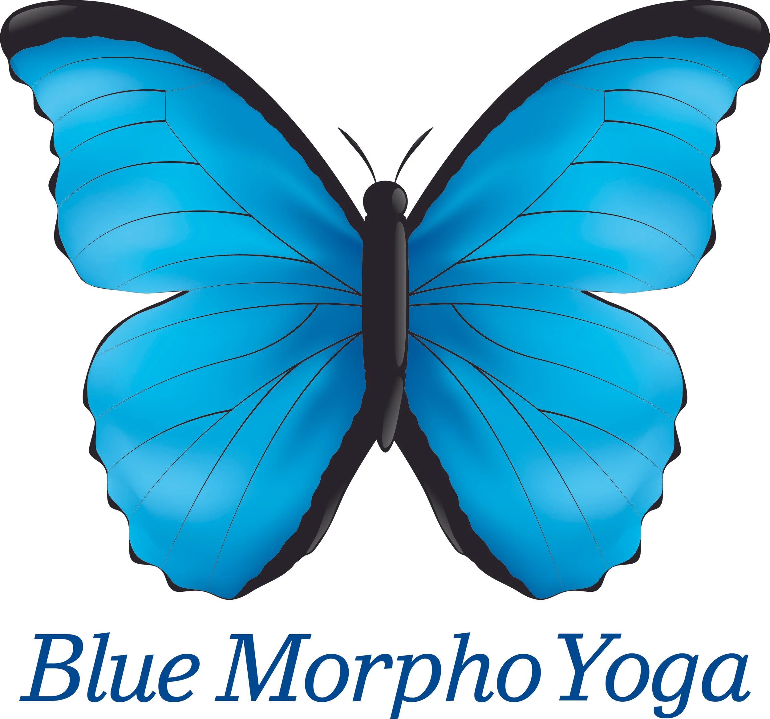 Blue Morpho Yoga