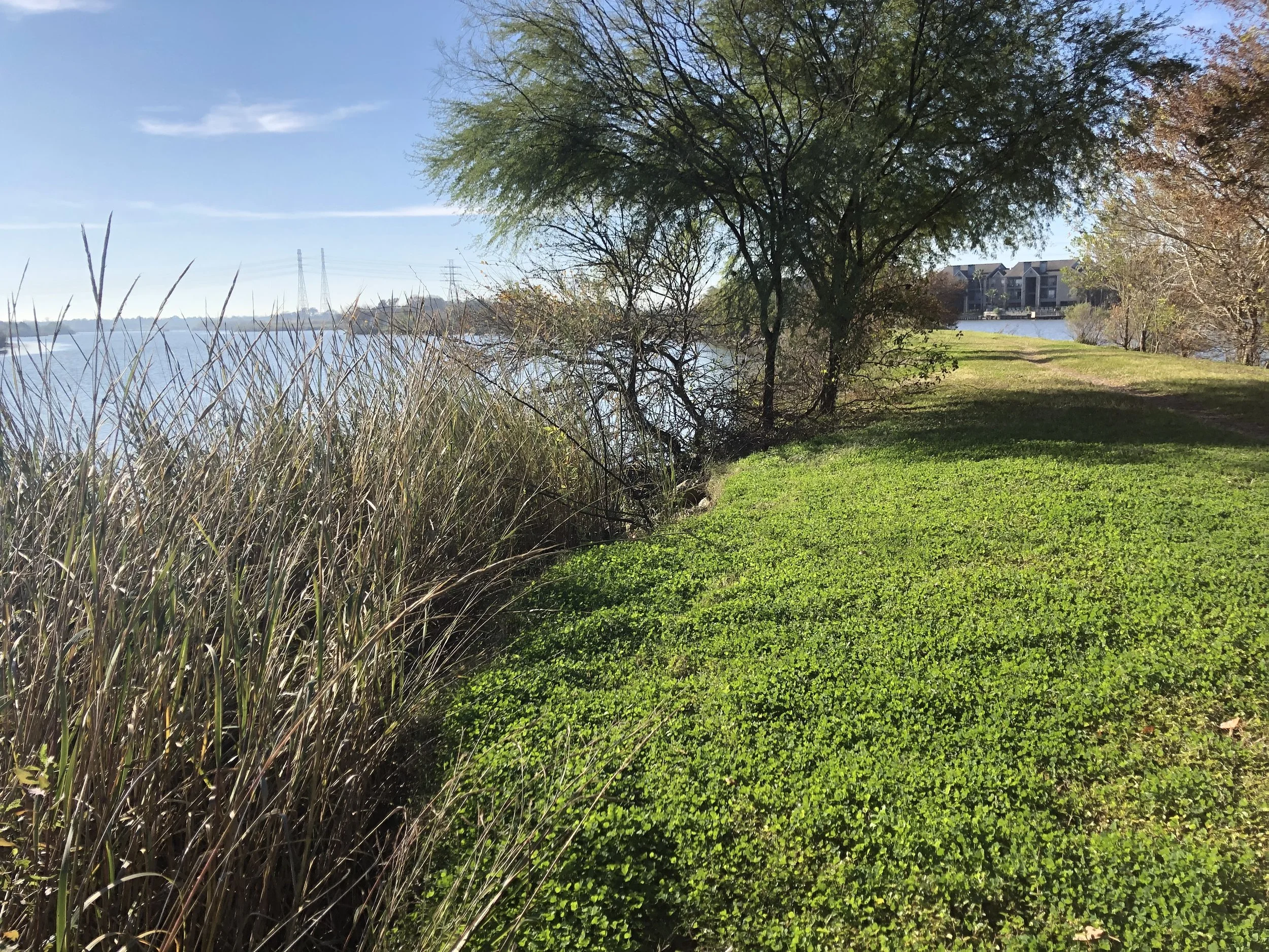 Webster Trail Feasibility Study