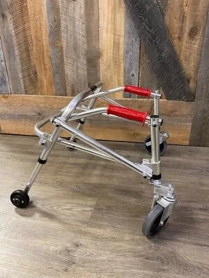 Equipment Programs — Cerebral Palsy Kids and Families