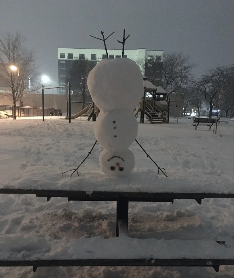 Class Schedule & Pricing — The Center For Iyengar Yoga