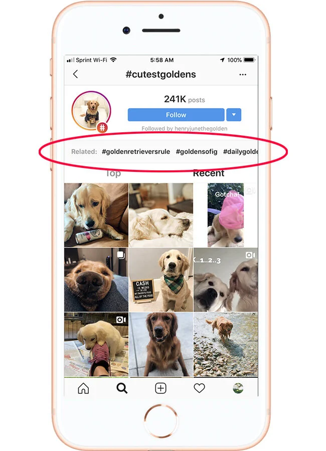 Researching & Using Hashtags — Carrie Sommer Creative Studio