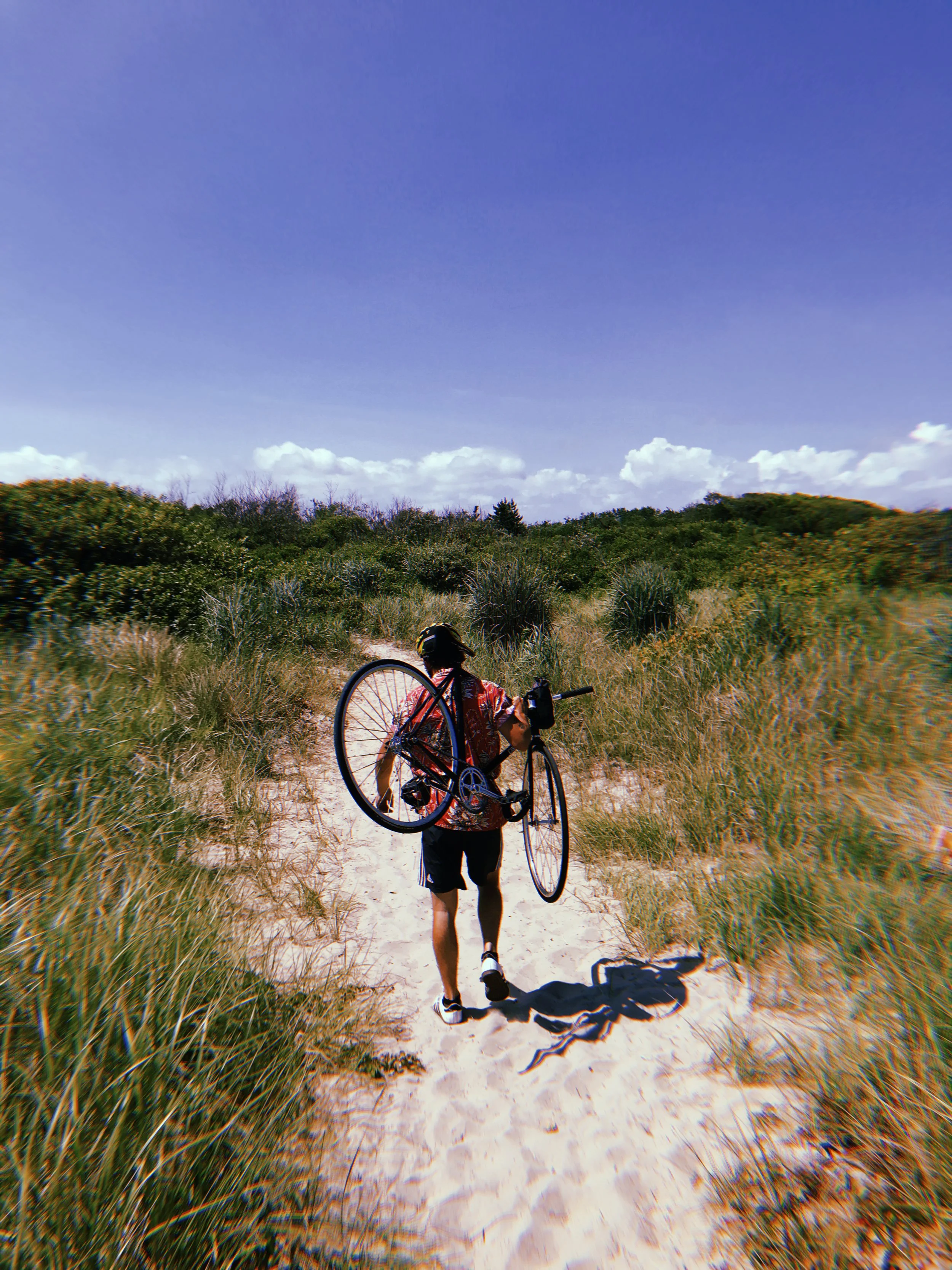 photography — ANDY PLANTS